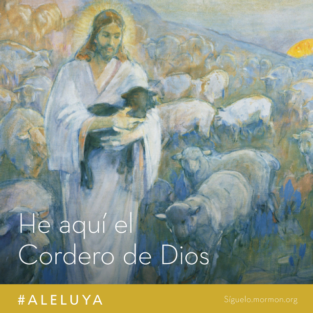 Memes Del Cordero De Dios