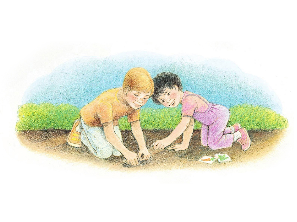 Planting Seeds Of Christ