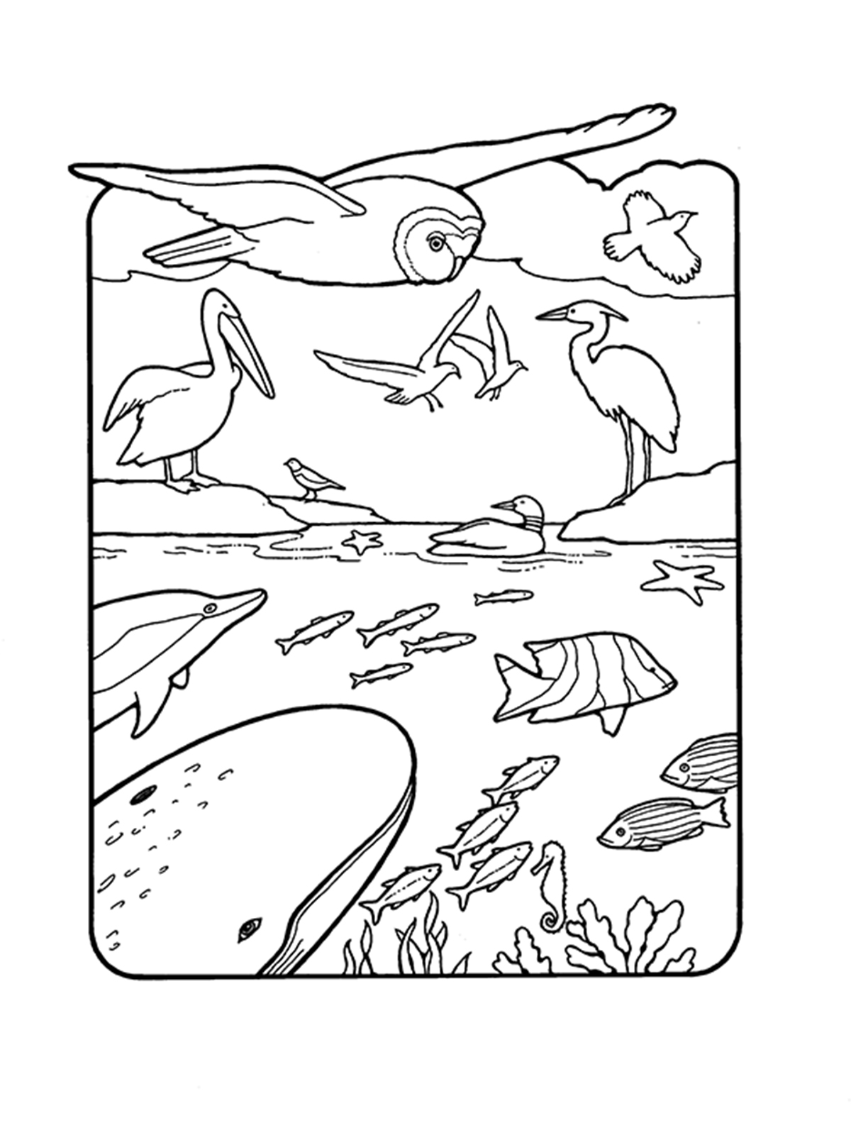 God Created Birds And Fish Coloring Page Sketch Coloring Page