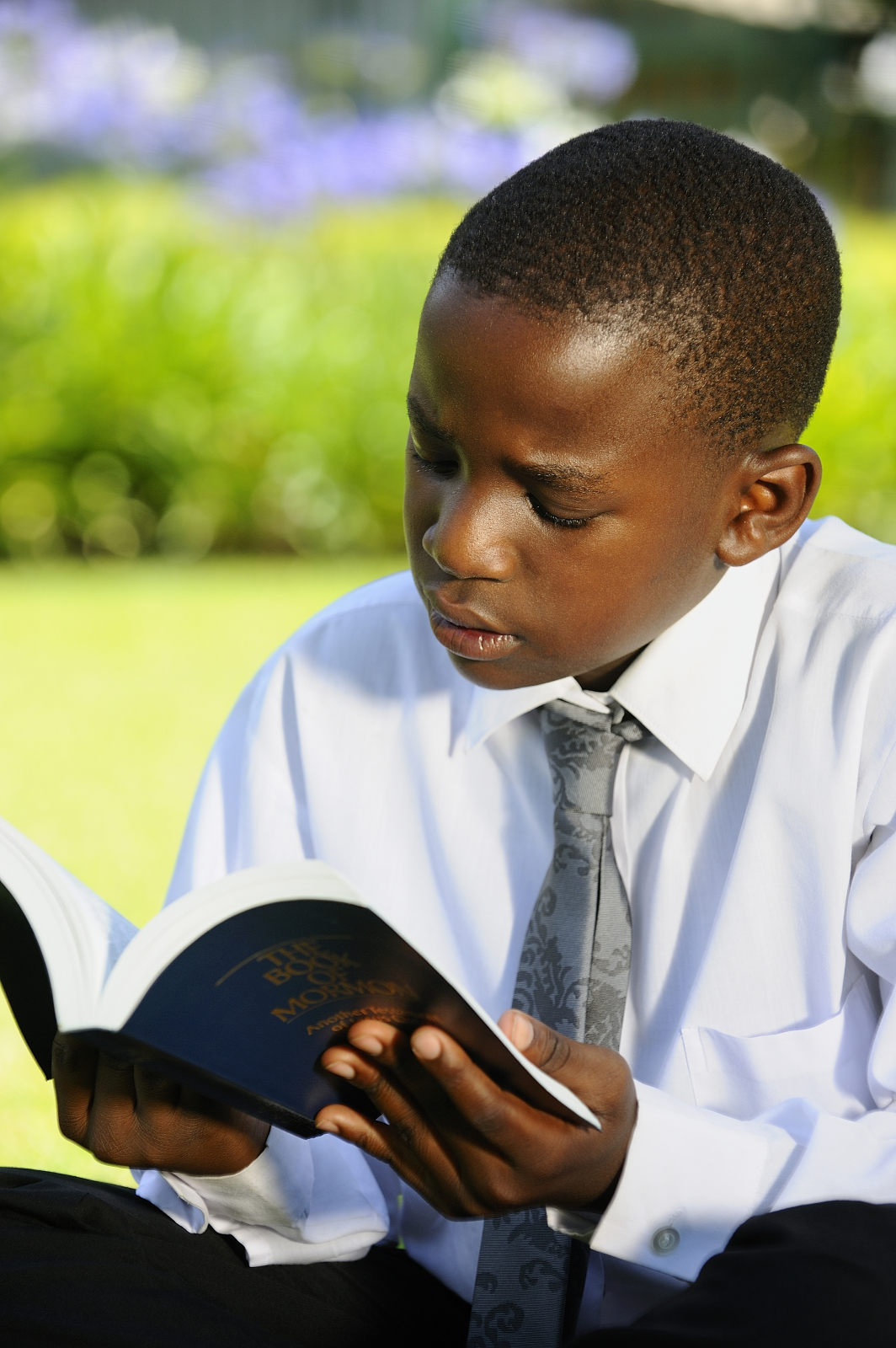 Reading The Book Of Mormon