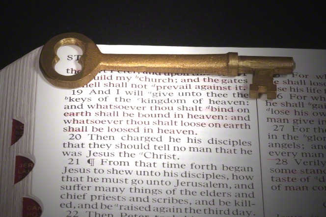 The Book of Mormon Is the Word of God | thingsofmysoul