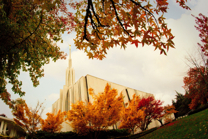 Seattle Washington Temple in the Fall